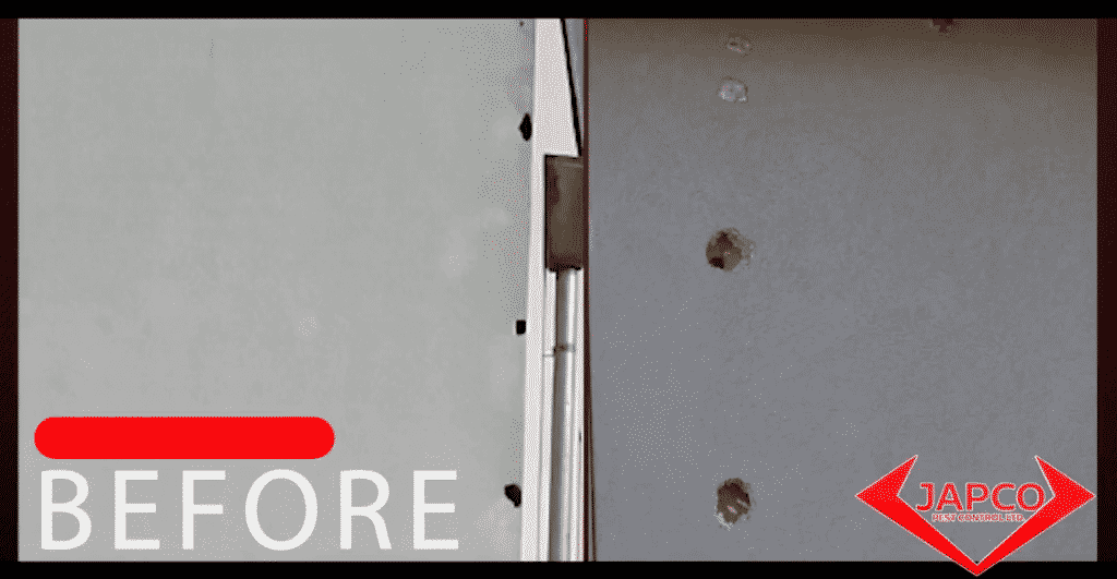 Building Damage Causd by Northern Flicker Woodpecker in Calgary - JAPCO ...